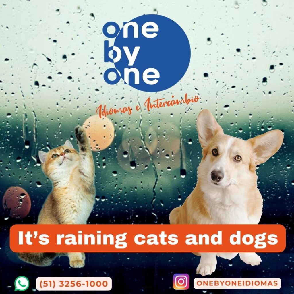 It’s raining cats and Dogs – Onebyone – Curso de Inglês Online
